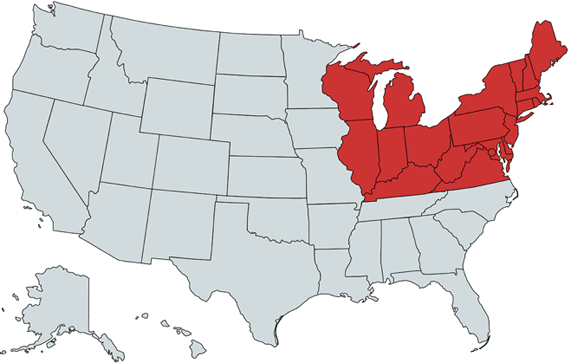 Northern Star Seed LLC